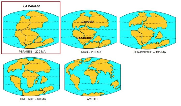 CHAPITRE 5 : La tectonique des plaques. – SVT Jules Michelet